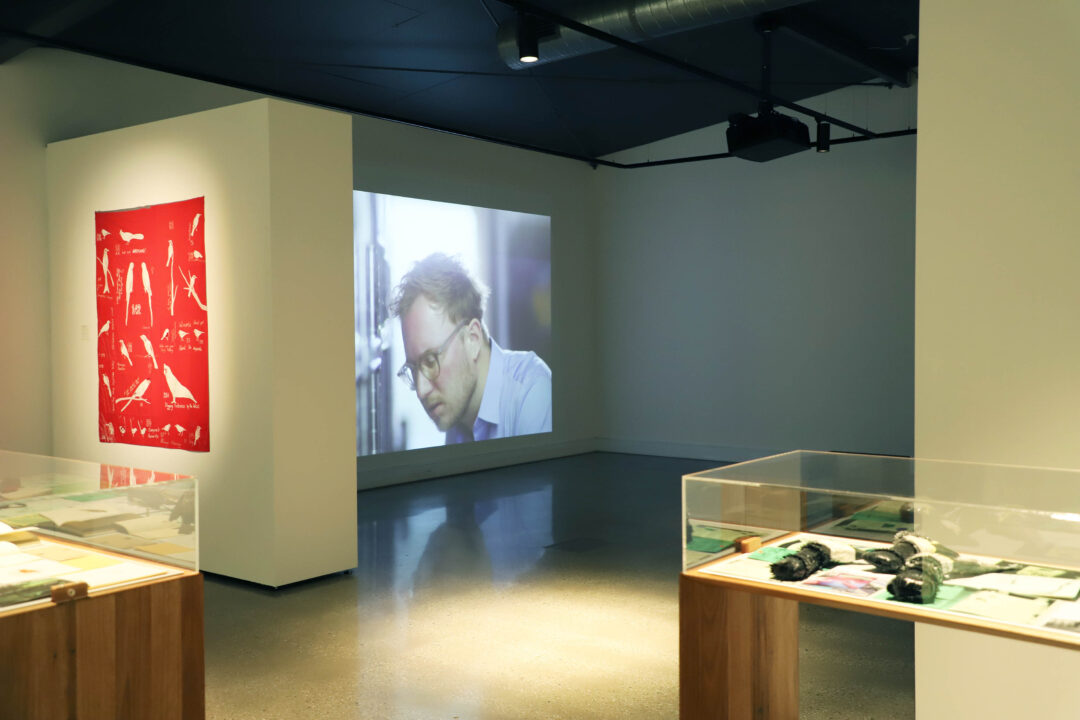 Avian Assembly, Singleton Arts and Cultural Centre 2025 – Madeleine ...